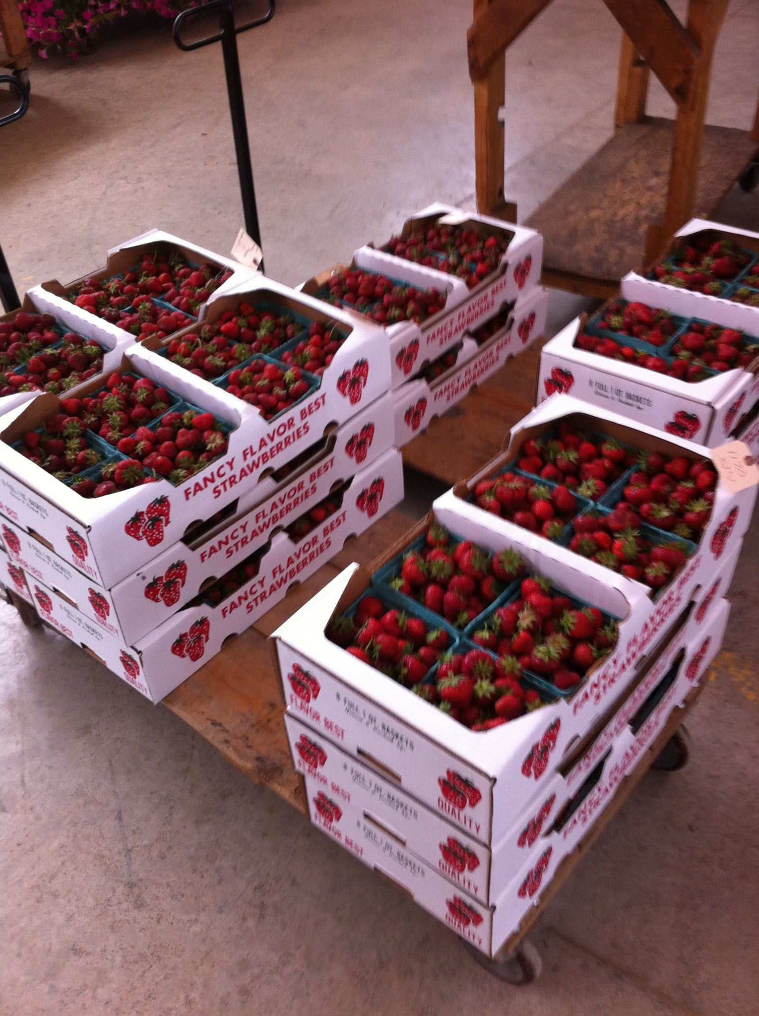 Going to the Produce Auction – Quince & Apple